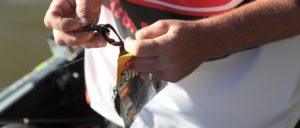 Catching The Big Chill Bass | OutDoors Unlimited Media and Magazine
